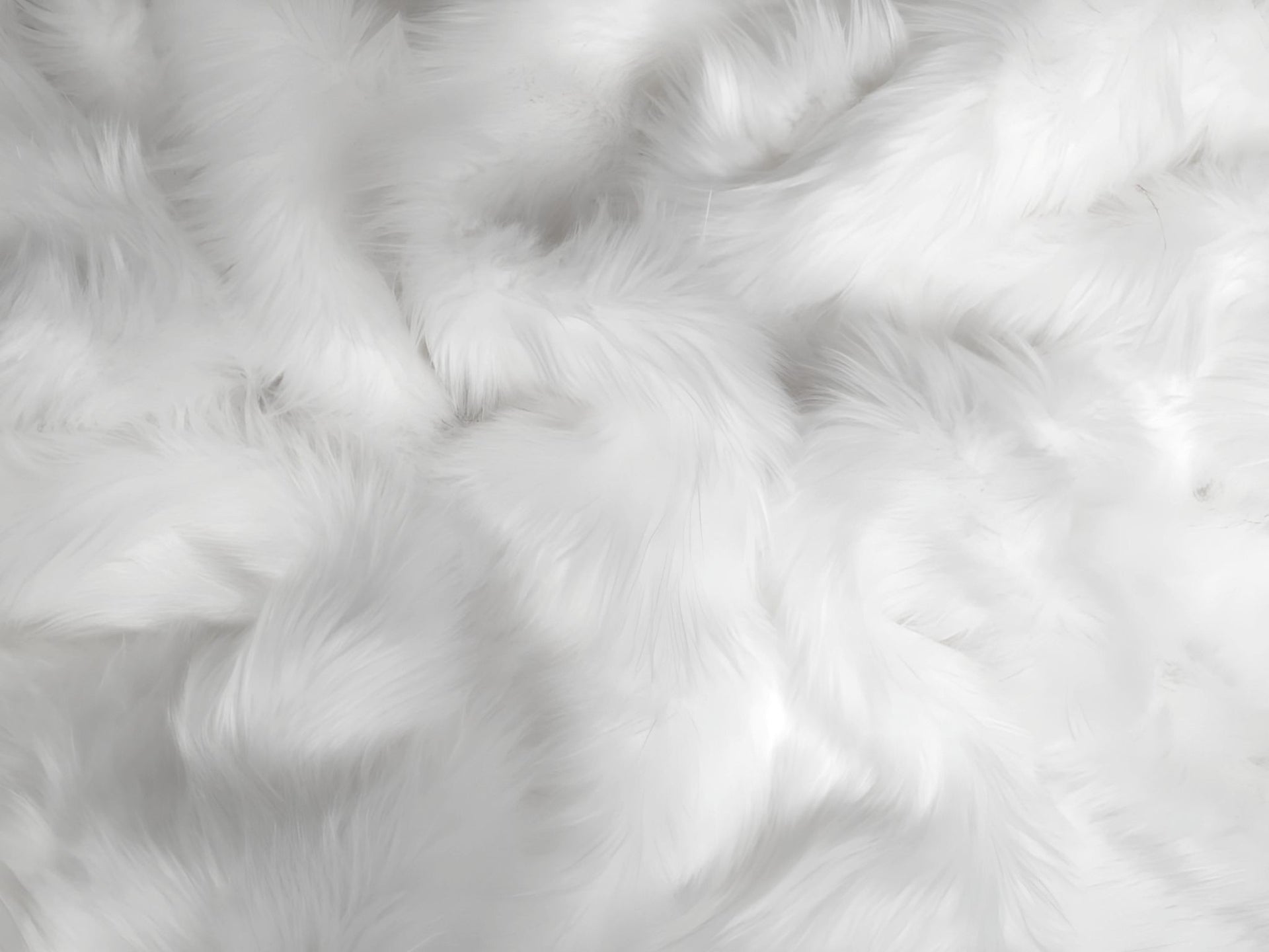 fuzzy white